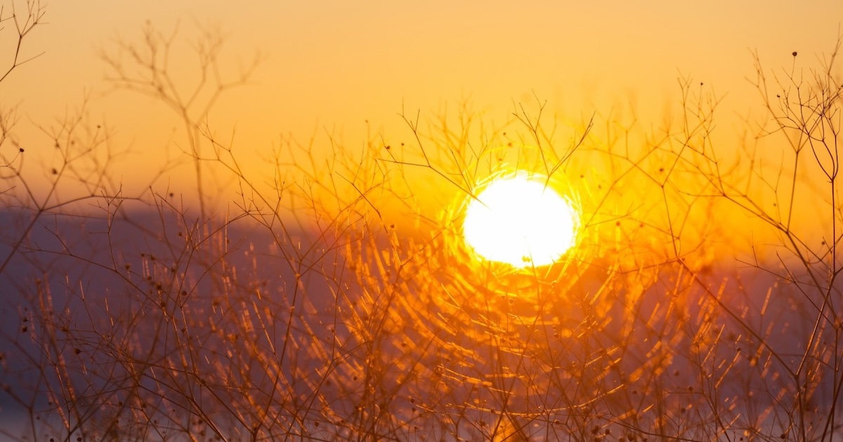 Life Made Beautiful by AI - Radiant Institute